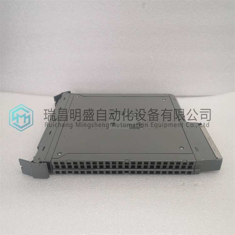 ICS TRIPLEX T8461C输入输出模块_瑞昌明盛自动化设备有限公司